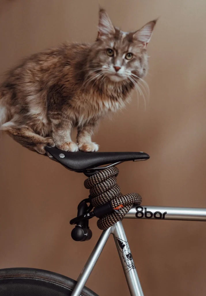 tex–lock wild hemp: Wild spirit & modern eco-lifestyle